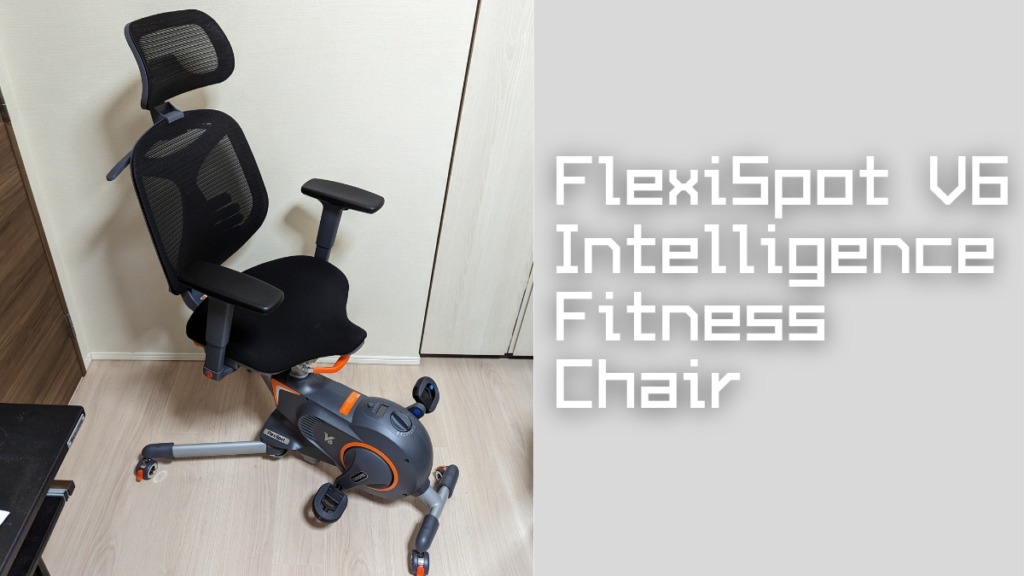 FlexiSpot V6レビュー | 座り心地がよすぎて寝てしまうフィットネスチェア – naenote.net